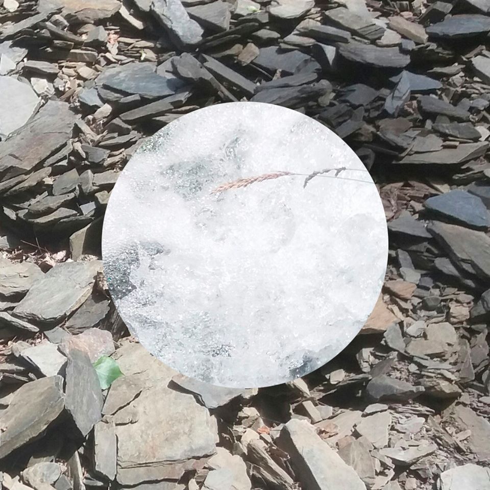 Maria Coma · Vocal Roots Apr/May/Nov 2020 – LAKE Studios' Artist Blog ...